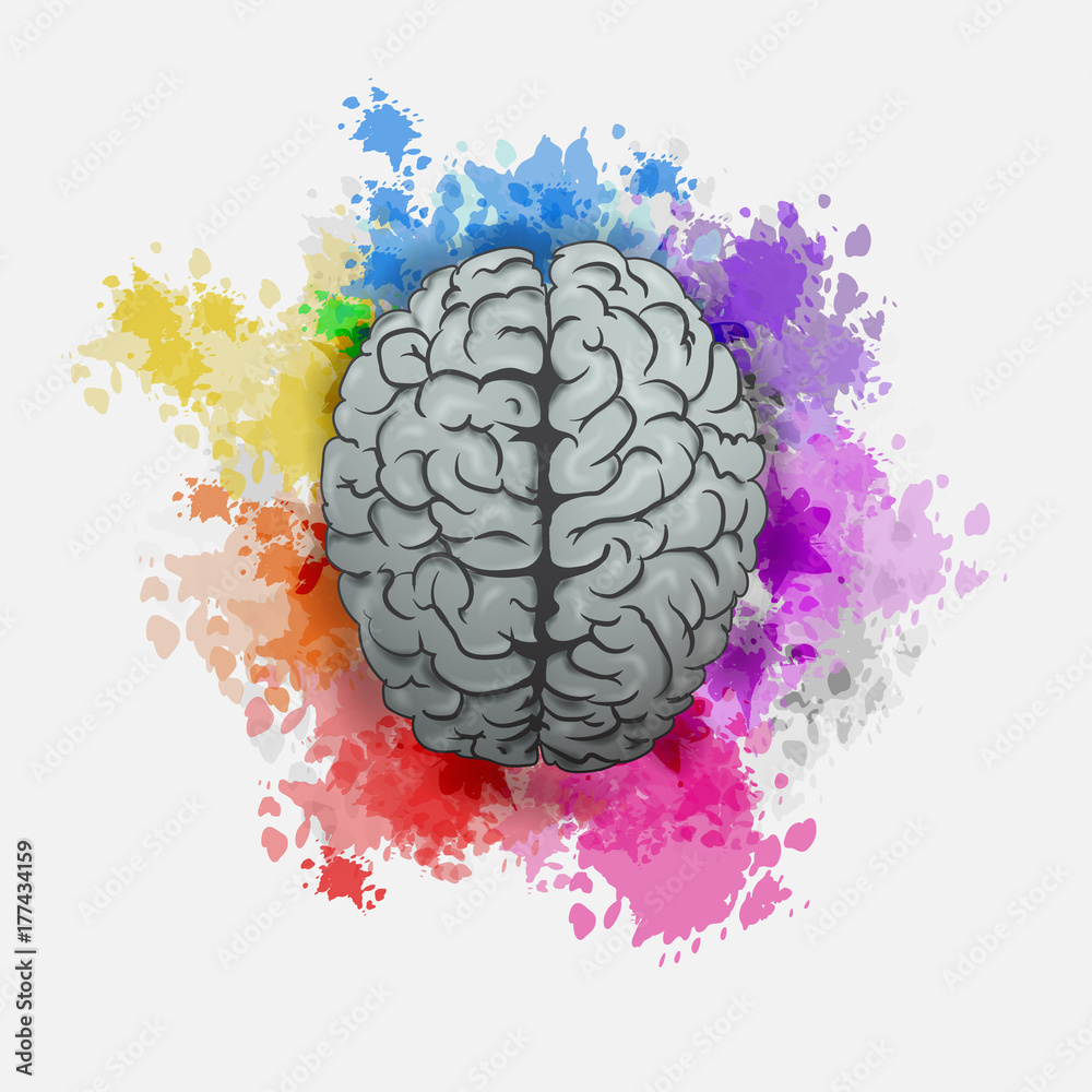 Colorful Brain Drawings