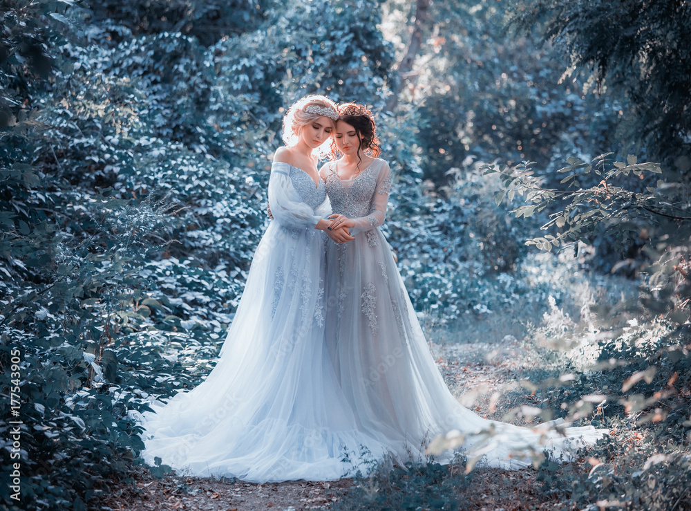 Two beautiful princess girls are walking in luxurious dresses with a ...
