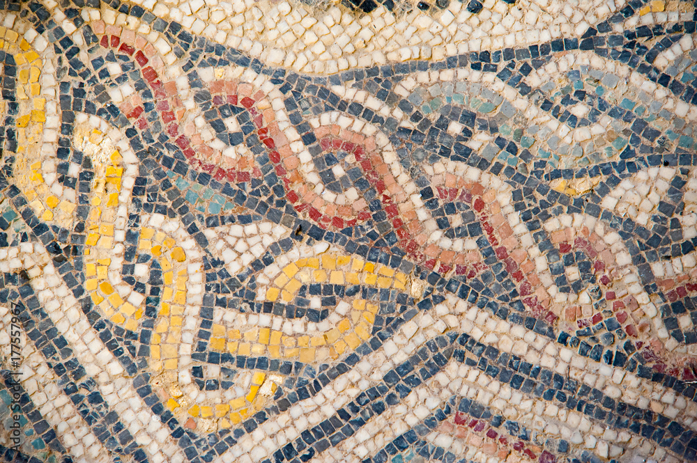 Old roman mosaics: view of figures and motifs in the floor of the old ...