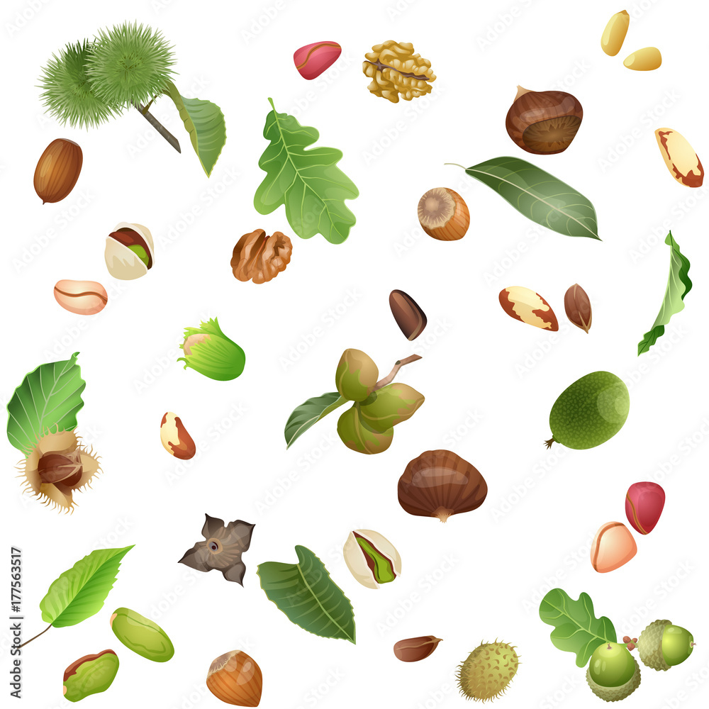 Seamless pattern of summer nut plants leaves and nuts / There are ...