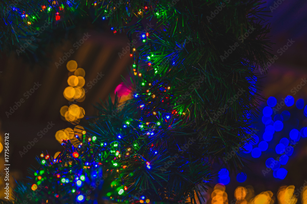colorfull christmas lights in a pine tree Stock Photo | Adobe Stock