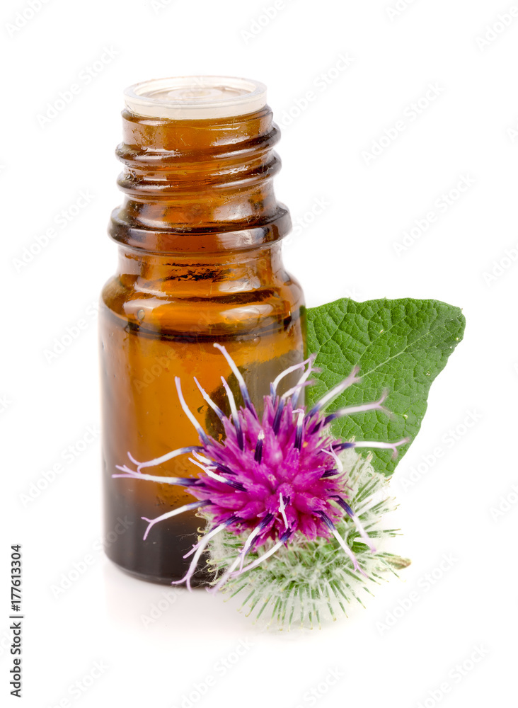 burdock oil in glass bottle and burdock flowers isolated on white ...