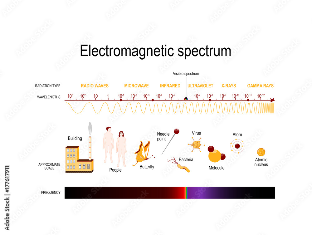 electromagnetic spectrum Stock Vector | Adobe Stock