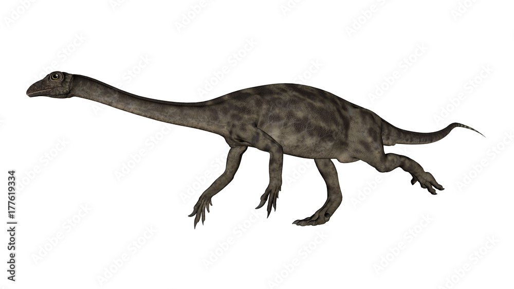 Anchisaurus dinosaur -3D render Stock Illustration | Adobe Stock
