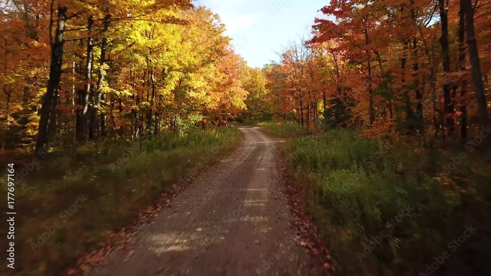 Country road in fall colors Stock Video | Adobe Stock