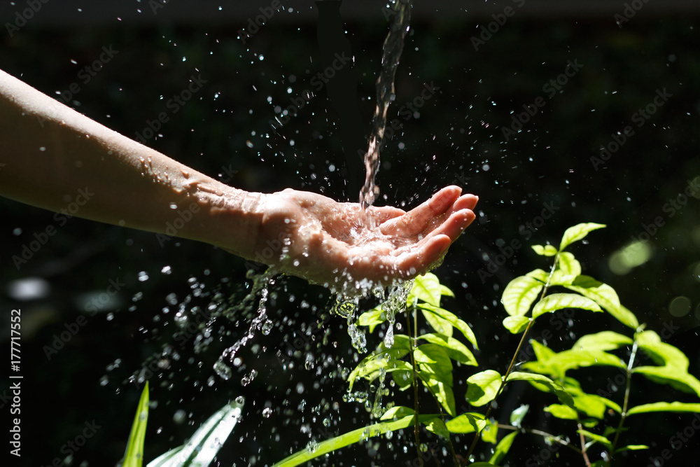 Water pouring in woman hand on nature background, environment issues ...