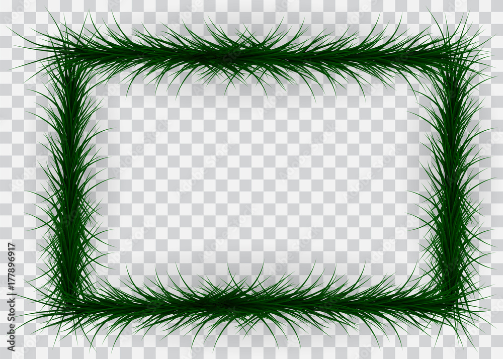 Frame of colorful coniferous branches on transparent background. Vector ...