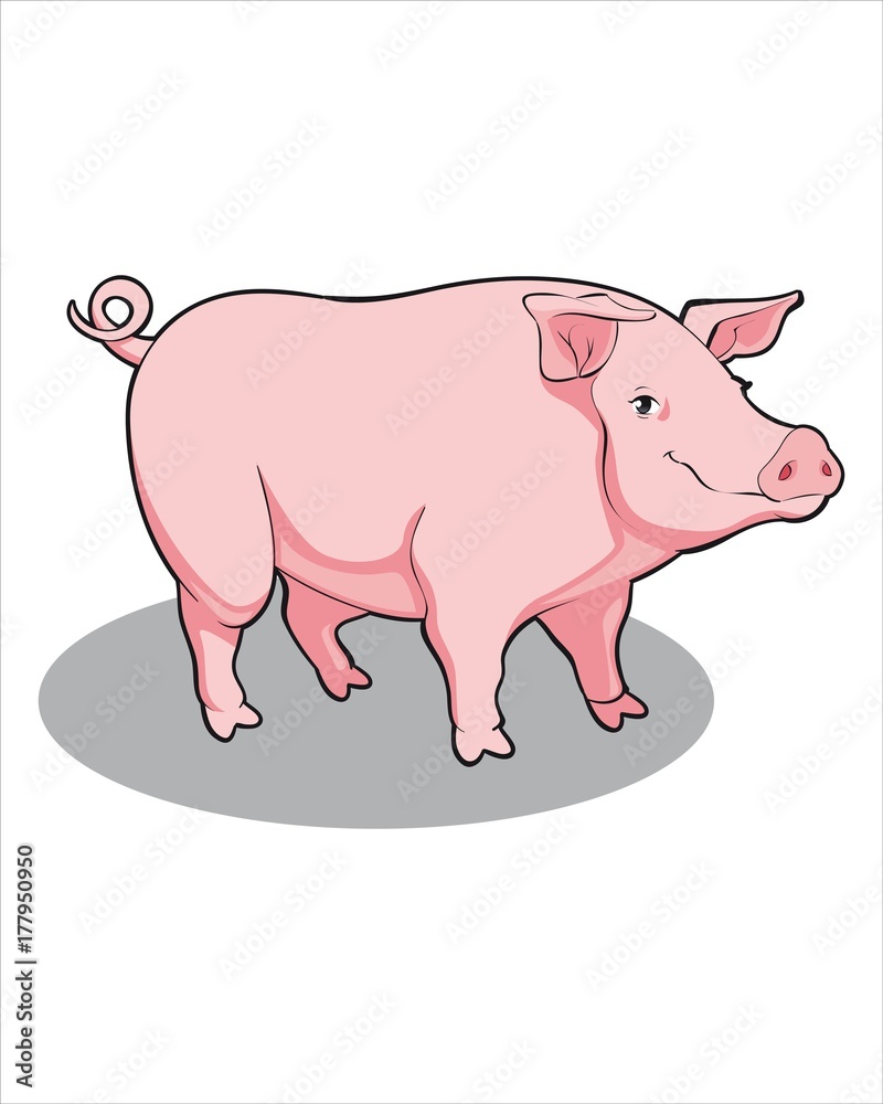 Realistic Pig Drawing