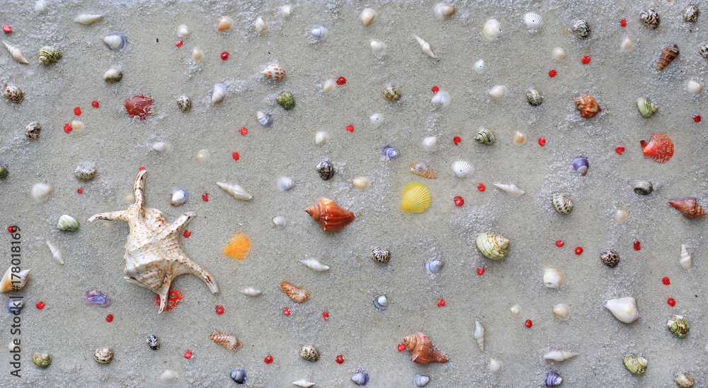 Beautiful background was decorated by shell on the cement wall. Stock ...