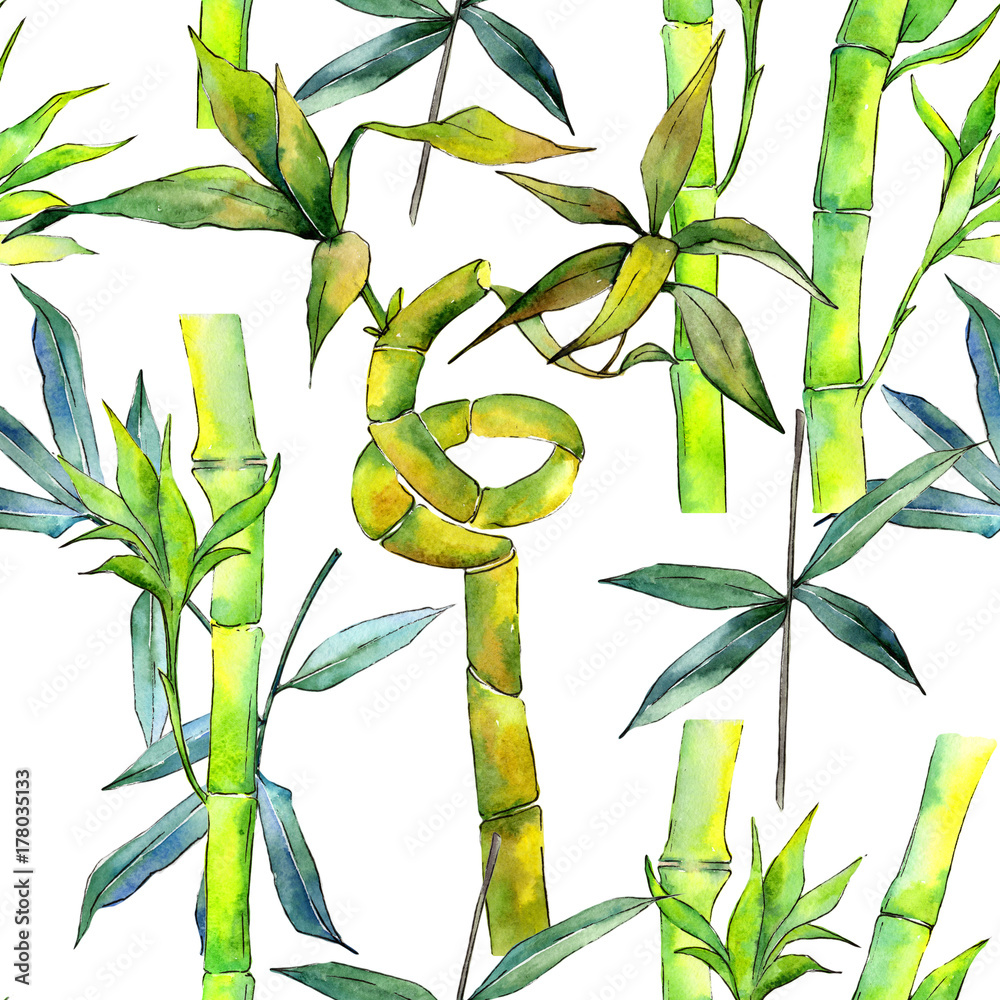 Tropical bamboo tree pattern in a watercolor style. Aquarelle wild ...