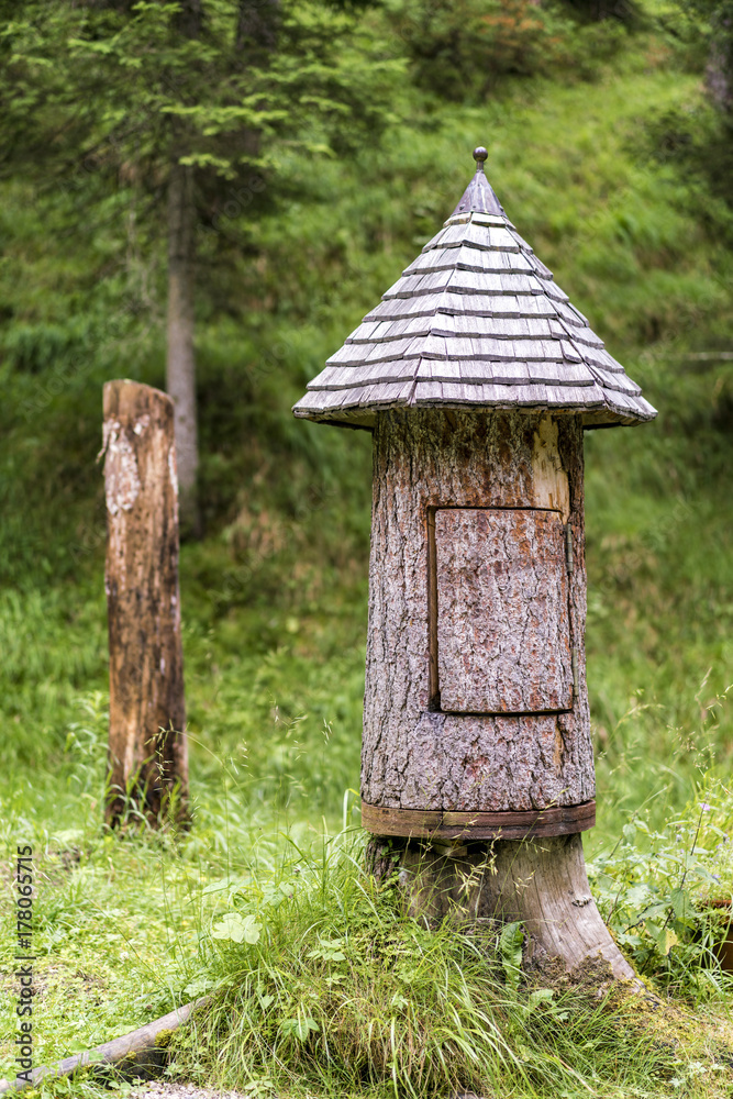 Rustic wooden tree hut in a forest formed from the trunk of a tree with ...