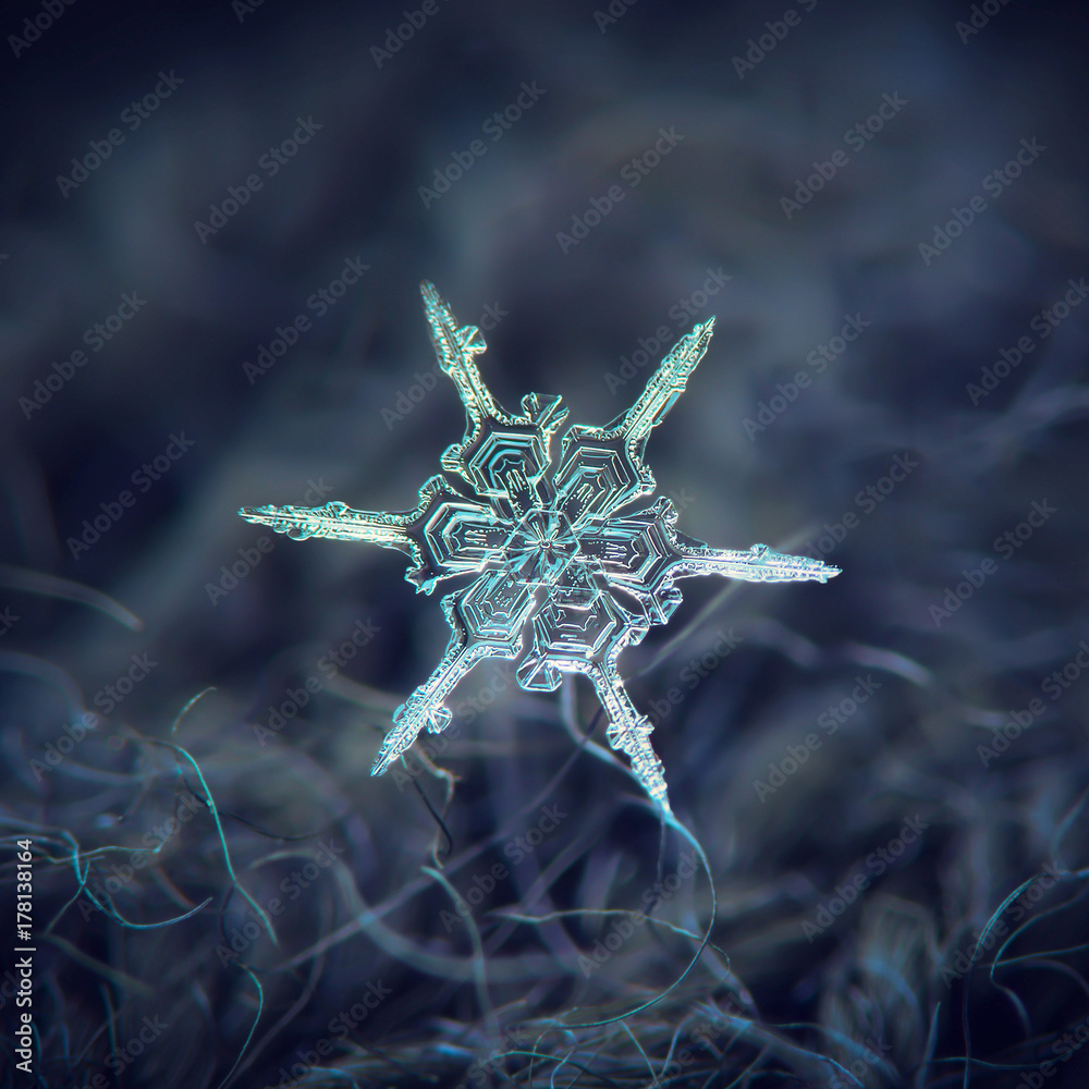 Real snowflake at high magnification. Macro photo of real snow crystal ...