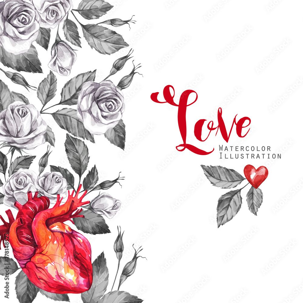 Watercolor vertical frame, anatomic heart with sketches of roses and ...