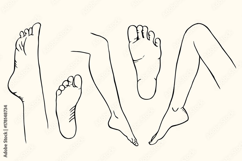 sketch of legs Stock Vector | Adobe Stock