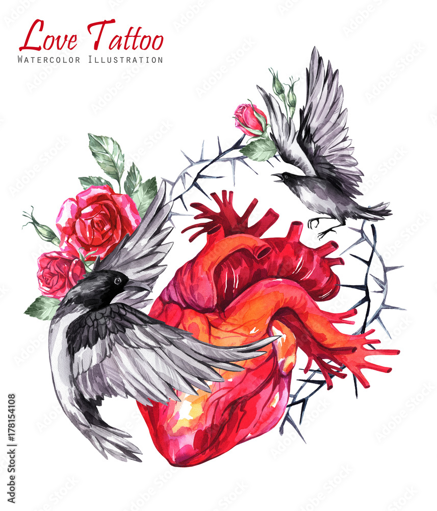 Watercolor anatomic heart with sketches of roses, thorns, leaves and ...