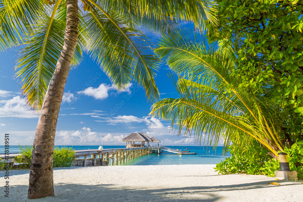 Tranquil beach scene. Exotic tropical beach landscape for background or ...