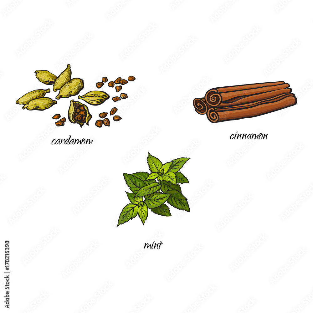 vector flat cartoon sketch hand drawn Spices, seasoning, flavorings and ...