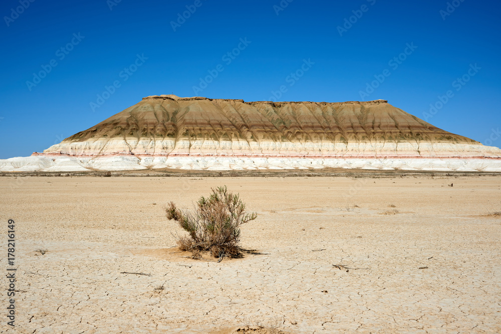 On the Ustyurt Plateau. Desert and plateau Ustyurt or Ustyurt plateau ...