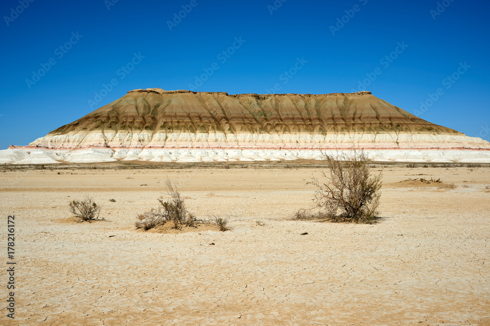 On the Ustyurt Plateau. Desert and plateau Ustyurt or Ustyurt plateau ...
