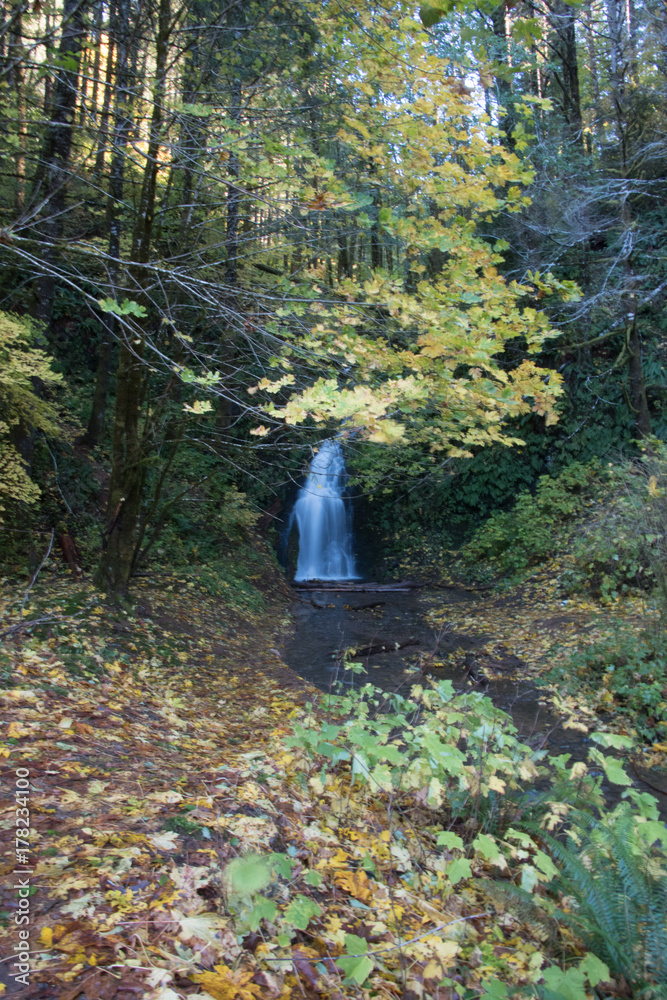 Waterfall with stream and trees with fall colors Stock Photo | Adobe Stock