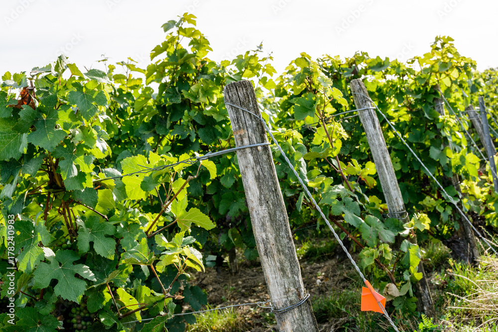 Close-up view of the wooden end posts planted on either side of ...