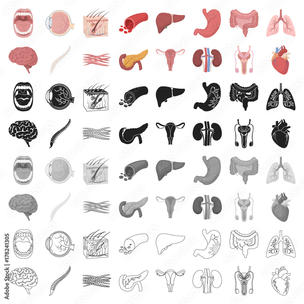 Organs set icons in cartoon style. Big collection of organs vector ...