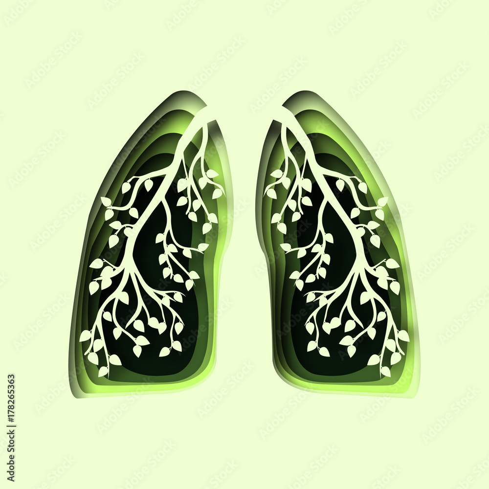 abstract 3d paper cut illustration of green human healthy lungs with ...