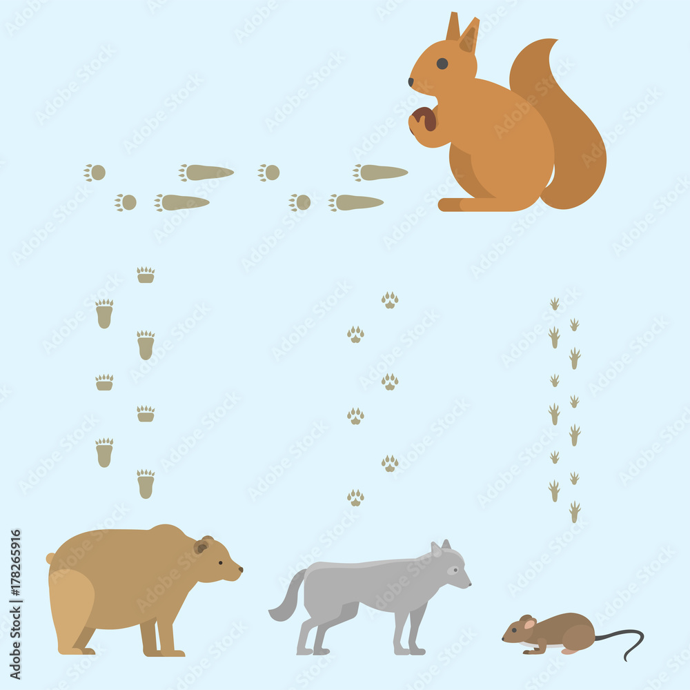 Animal footprints include mammals and birds foot print trace wildlife ...