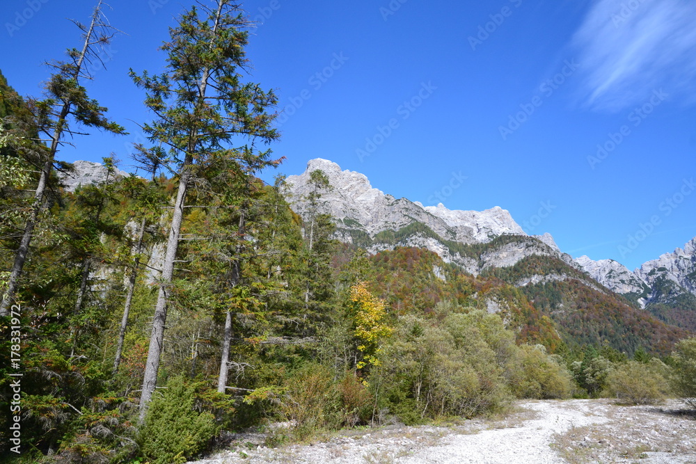 Claut - parco naturale delle Dolomiti Friulane (sorgenti del Cellina ...