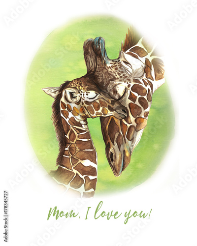Giraffes In Love Drawing