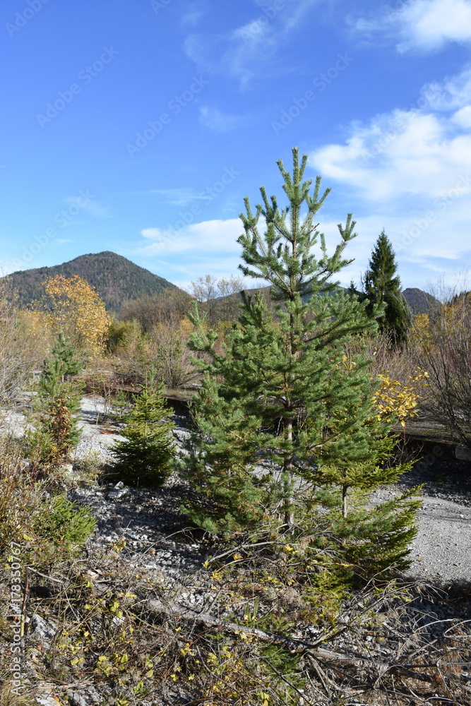 Kanaltal, Tarvis, Tarvisio, Udine, Friaul, Julisch-Venetien, Bahnhof ...