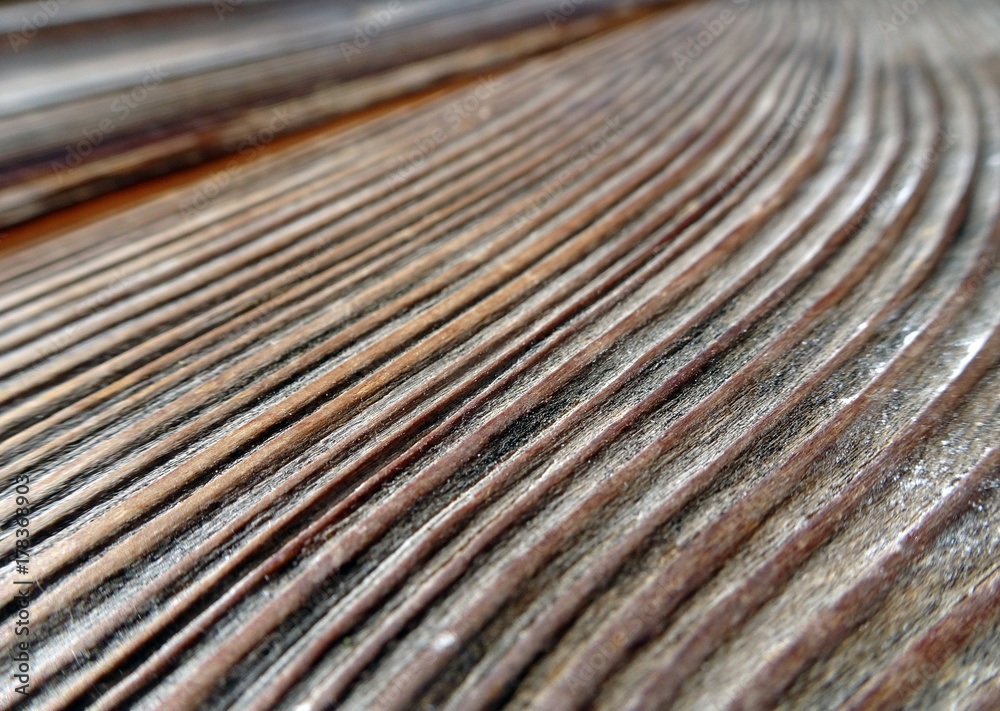 Nahaufnahme vom Holz - close-up of wooden plank Stock-Foto | Adobe Stock
