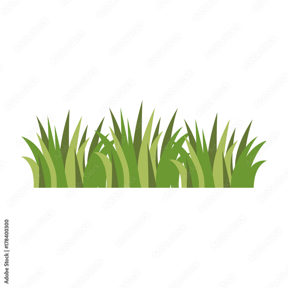 grass field isolated icon Stock Vector | Adobe Stock