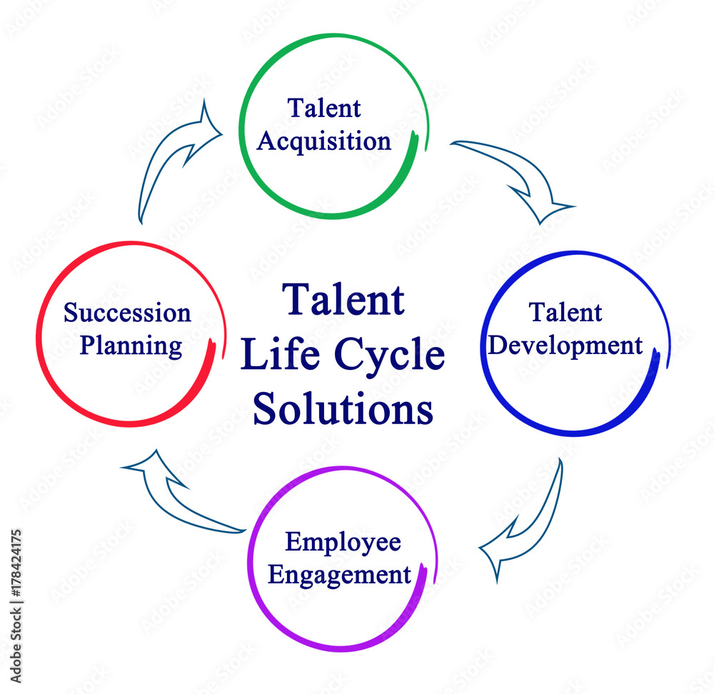 Talent Life Cycle Solutions Stock Illustration | Adobe Stock