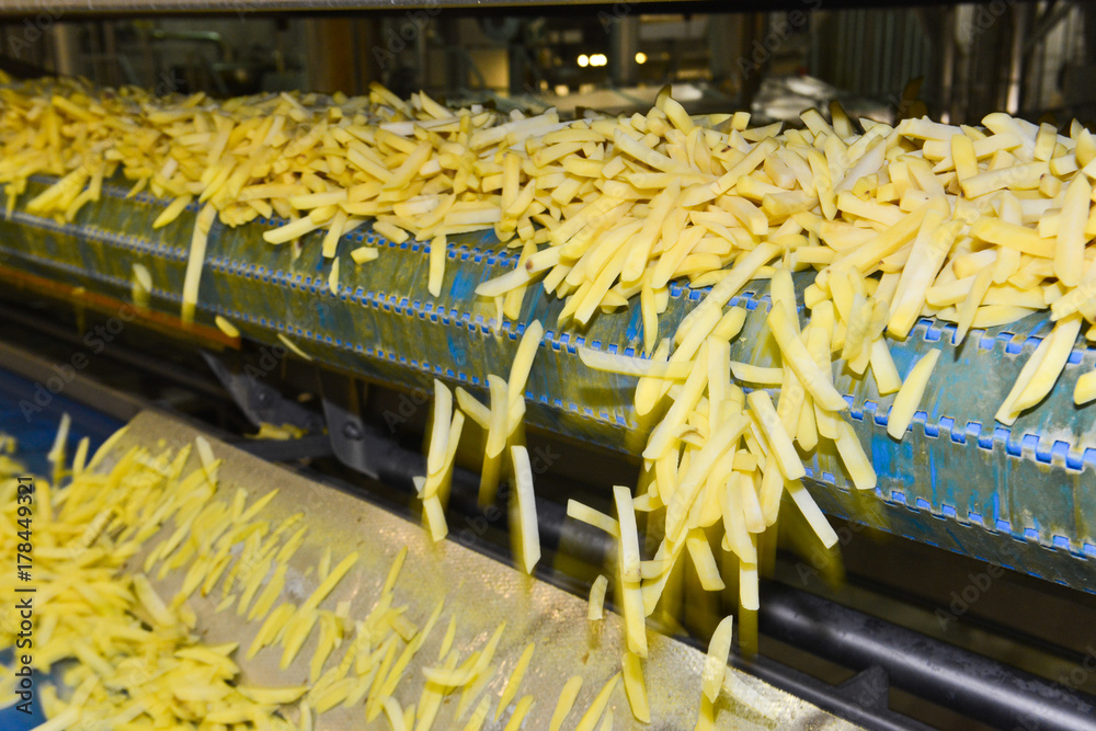 Mc Cain Lutosa usine frites patates pomme terre agriculture surgele ...