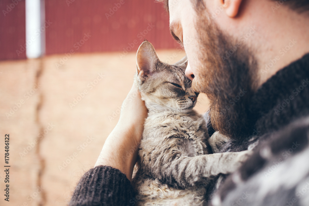 Muzzle of a cat and a man's face. Close-up of handsome young man and ...