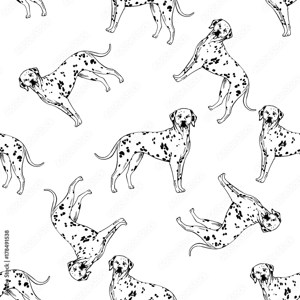 Seamless pattern of hand drawn sketch style dalmatian. Vector ...