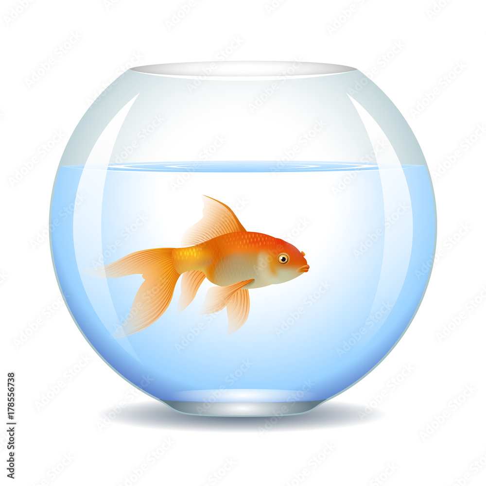 Goldfish Bowl