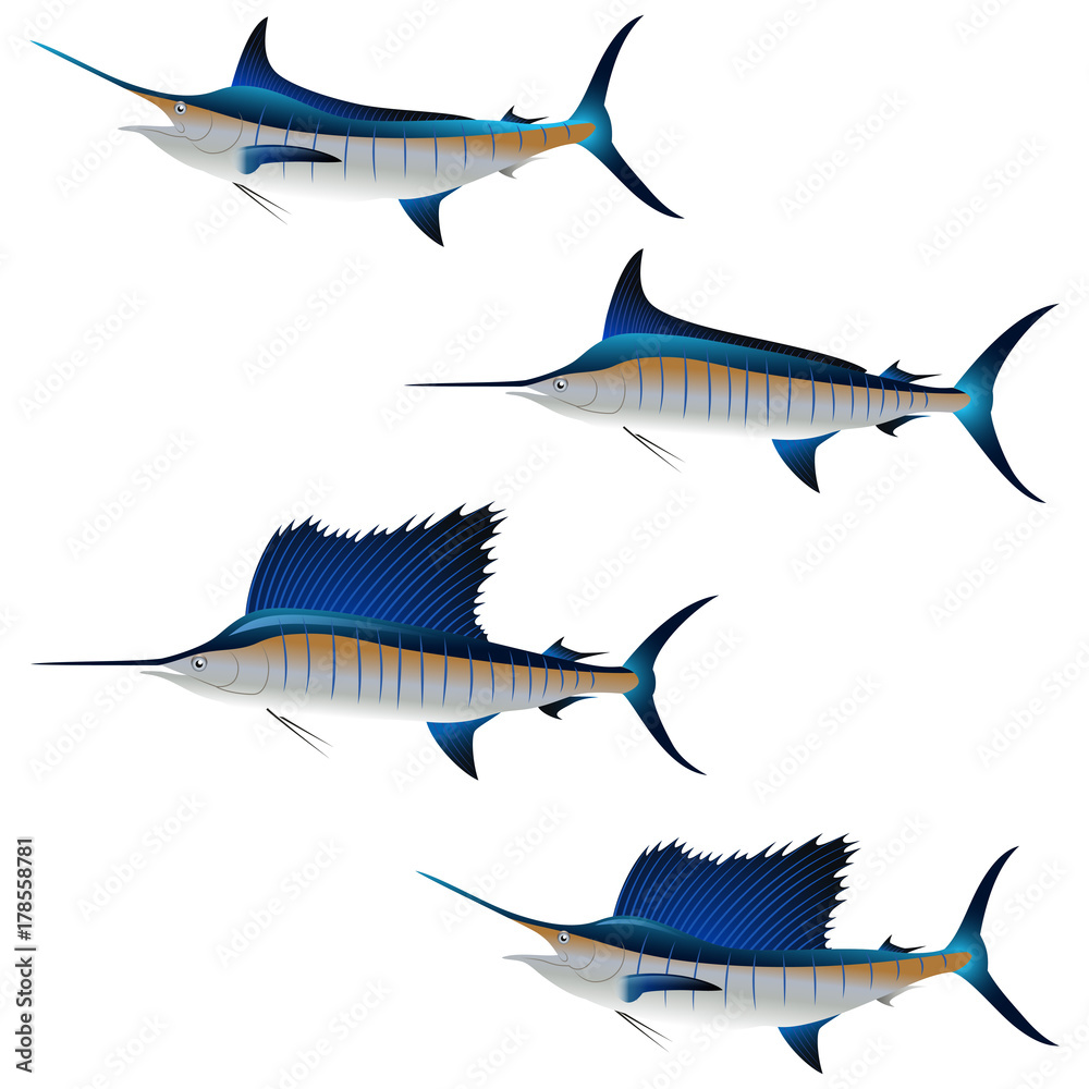 Set of swordfish isolated on white background. Vector illustration ...