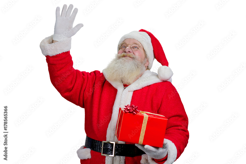 Santa Claus waving with hand, portrait. Santa Claus with real beard ...