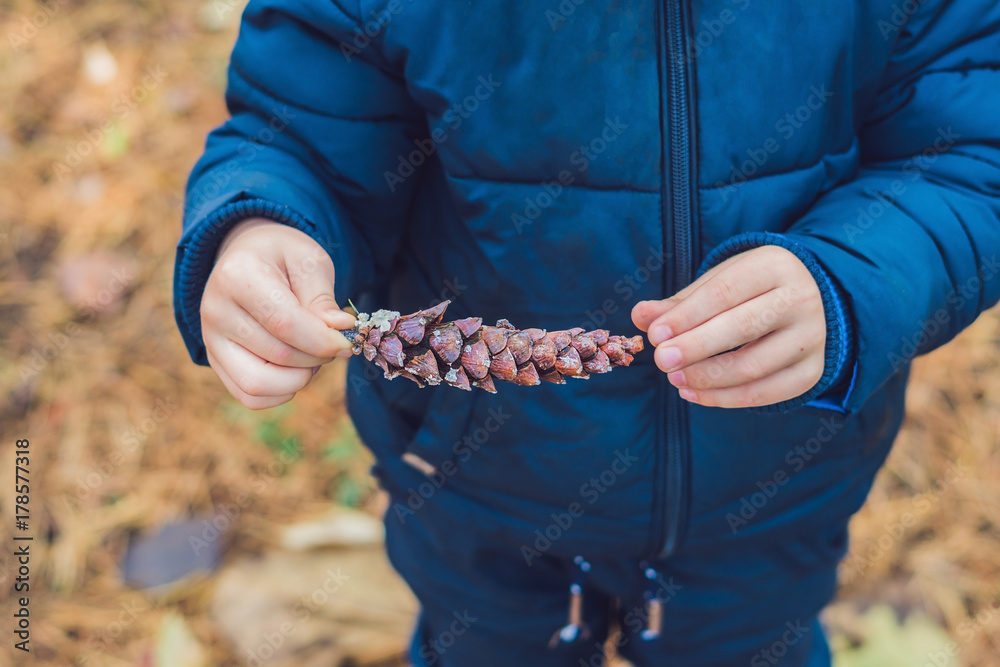 Cute little boy playing with big pine cone outdoors. Game for kids on ...