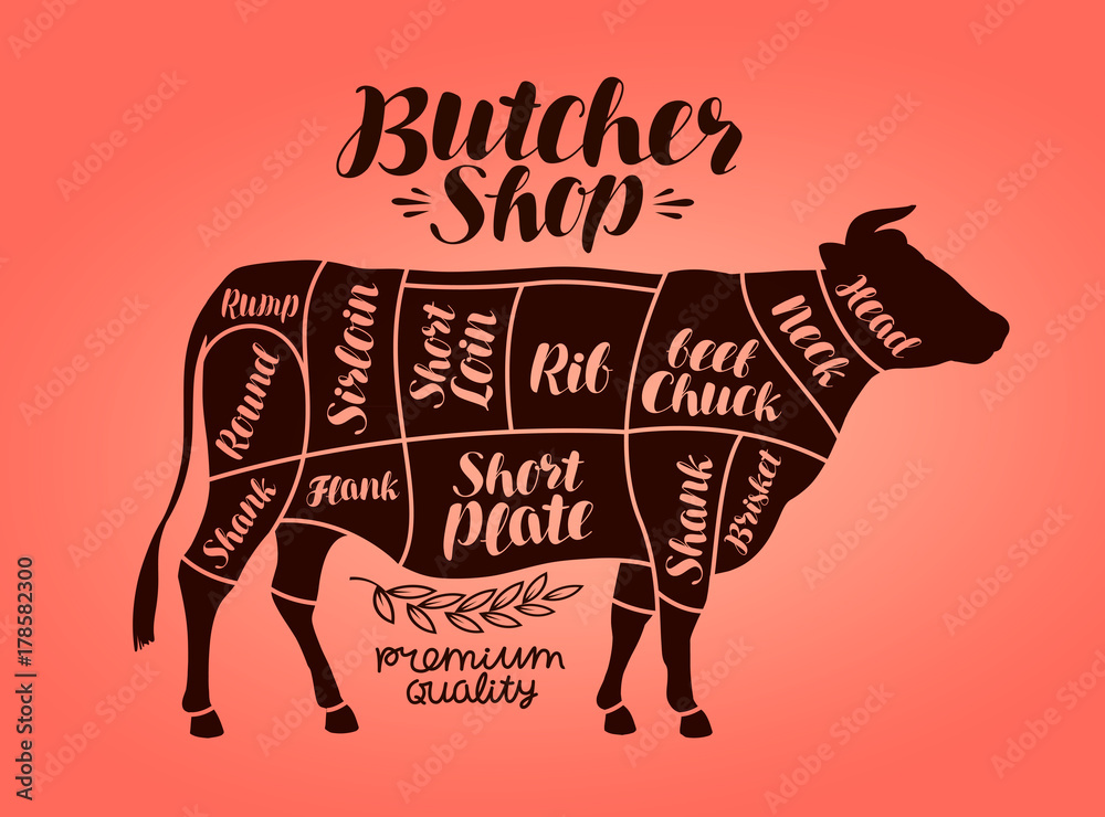 Butcher shop, meat cut charts. Beef, cow, steak concept. Vector ...