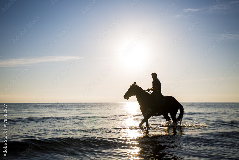 Caballo sobre el mar Stock Photo | Adobe Stock