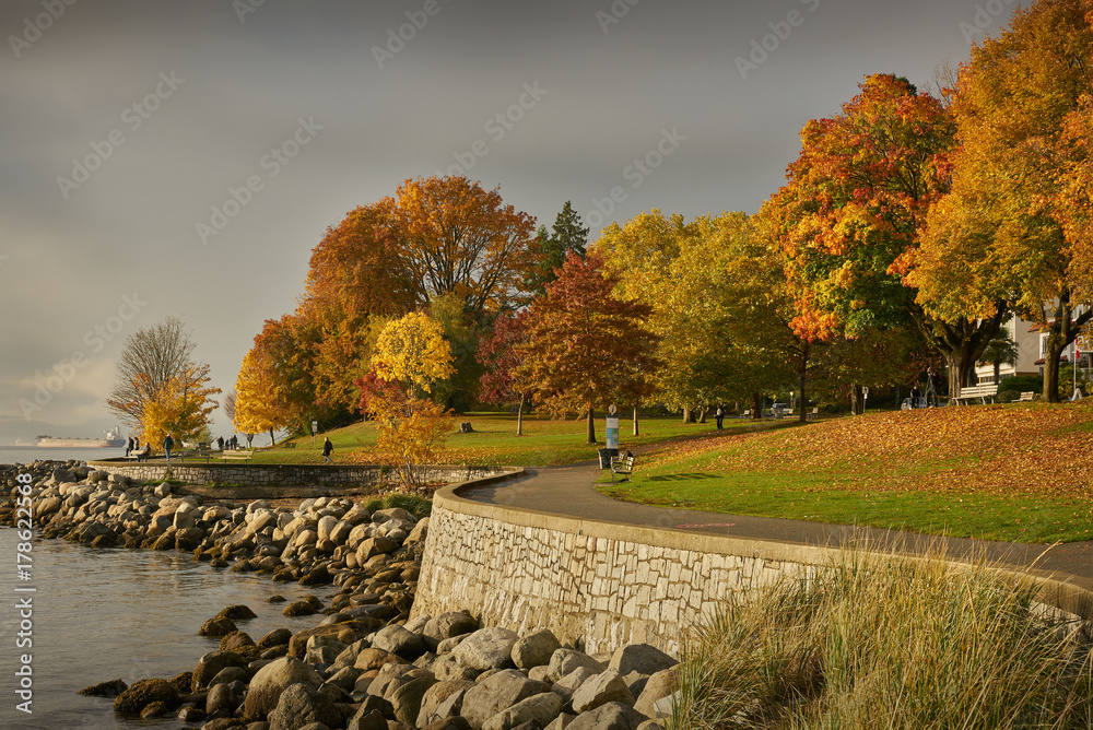 Foto de Stanley Park Seawall Autumn. Autumn leaves line the Stanley ...