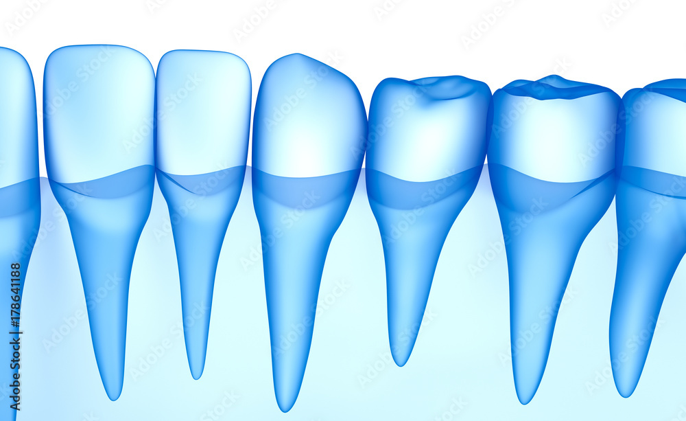 Transparent teeth scan, xray view . 3D illustration . Stock Photo ...