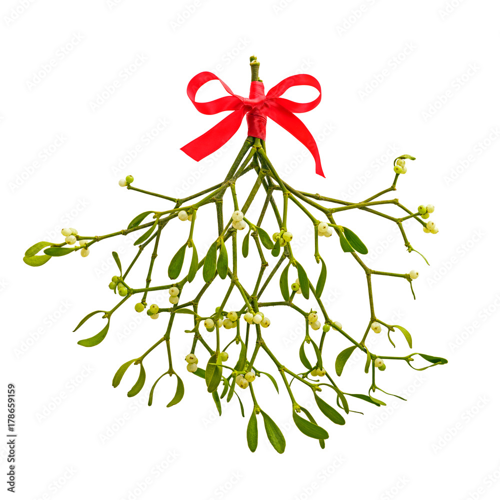 Bunch of Mistletoe on white background. Stock Photo | Adobe Stock