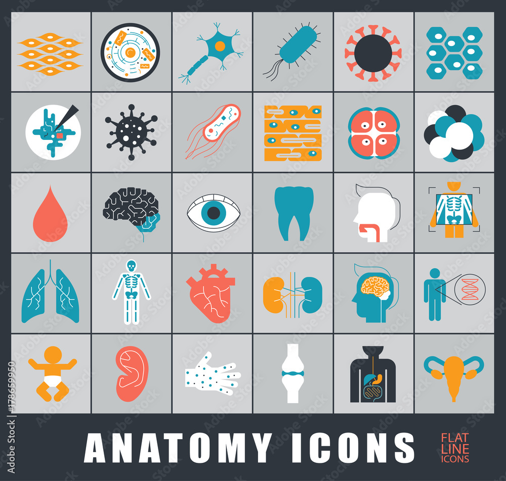 Icons presenting various organs and parts of the human body. Stock ...