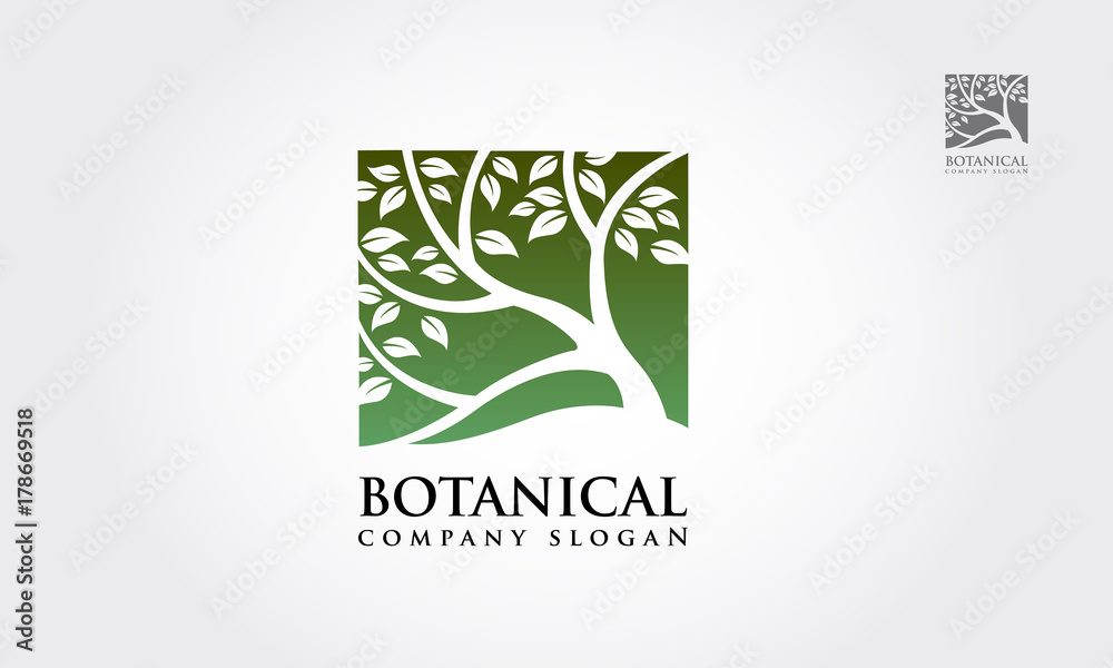 Botanical Vector Logo Illustration. Green tree Logo template. Clean and ...