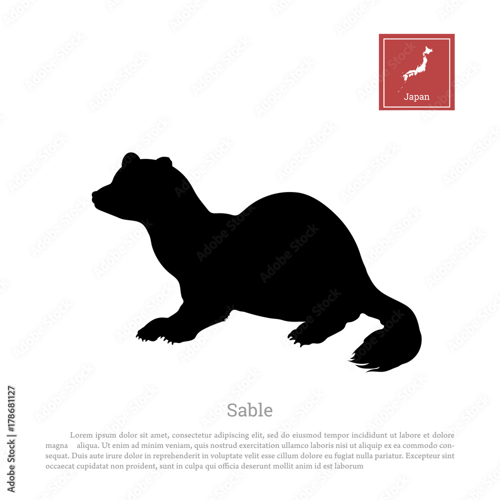 Black silhouette of a japanese sable on white background. Animals of ...