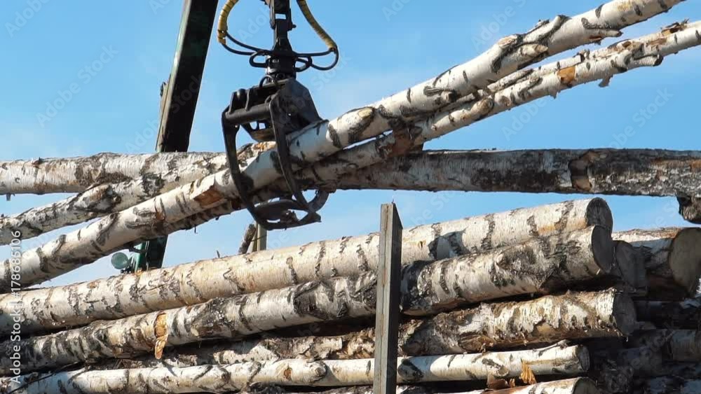 equipment transports wood logs to double length cargo vehicle in ...